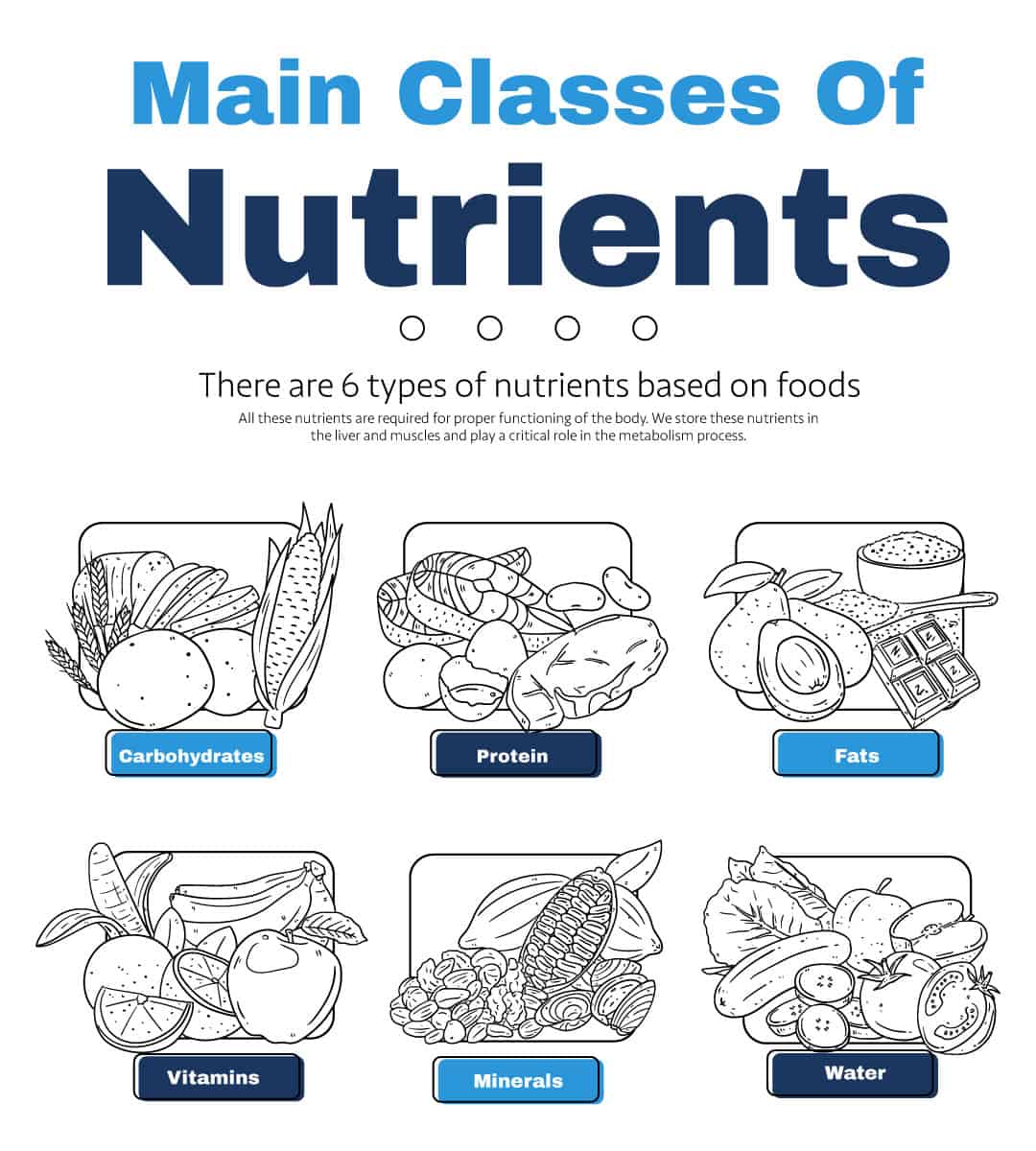 1 Important reason why a personalized nutrition plan will help